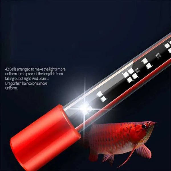MAYIN AQUARIUM LIGHTS – Nishikigoi