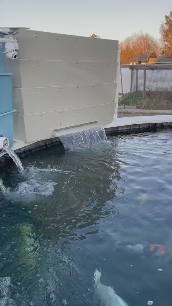 BAKKI SHOWER - FILTER – Nishikigoi